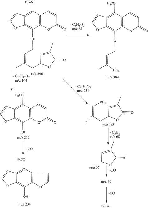 Mass Scheme Of Compound 1 Download Scientific Diagram
