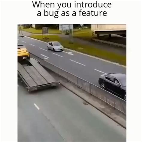 when you introduce a bug as a feature r programmerhumor
