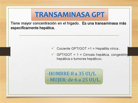 Gpt Valores Normales En Mujeres Y Su Significado En El Examen De