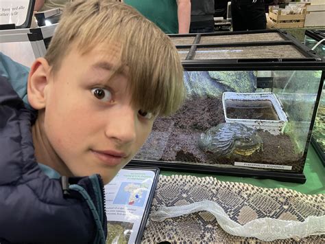 Absolute Unit Of A Frog I Saw At A Reptile Convention Rabsoluteunits