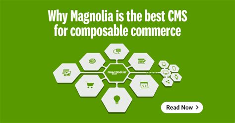 Why Magnolia Is The Best Cms For Composable Commerce Magnolia