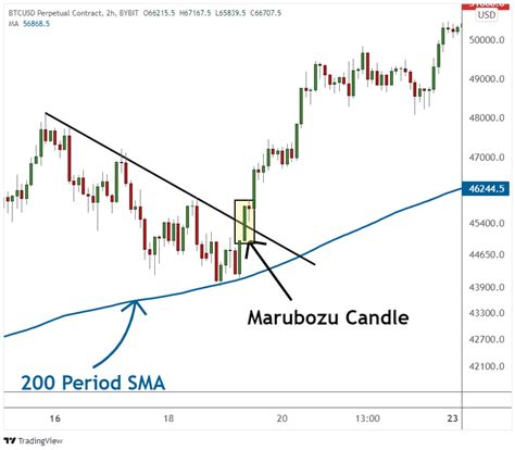 How To Use Marubozu Candlestick Pattern To Predict The Trend Direction