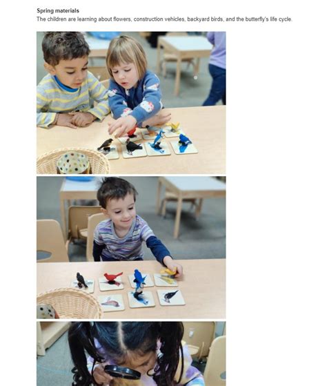 Teddy Class Newsletters Montessori School Of C U