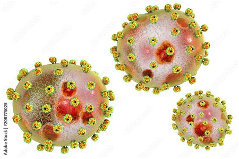 Lassa Fever Viruses 3d Illustration Rna Viruses From Arenaviridae