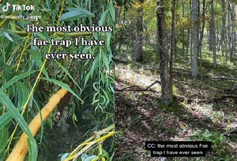Terkuak 3 Misteri Fae Traps Penampakan Hingga Bahaya Jika