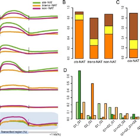 NATs In Arabidopsis A NAT Genes And NAT SiRNAs In Chromosomes From