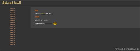 Upload Labs大详解 Csdn博客