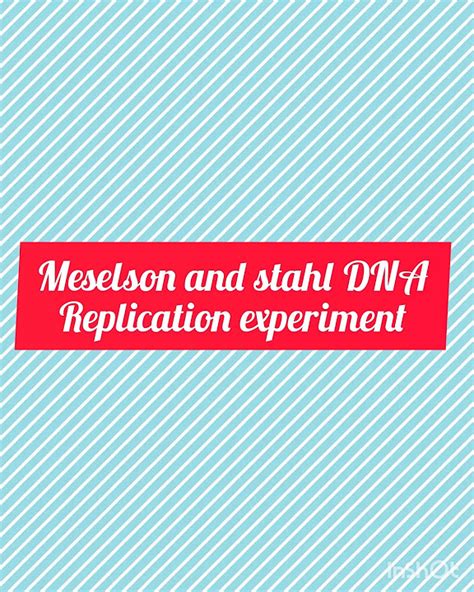 Meselson And Stahl Experiment Of Dna Replicationsciencenotes Zoology