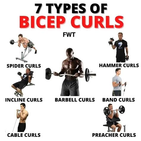Bicepcurls Biceps Workout Arm Workout Bodybuilding Workout Plan