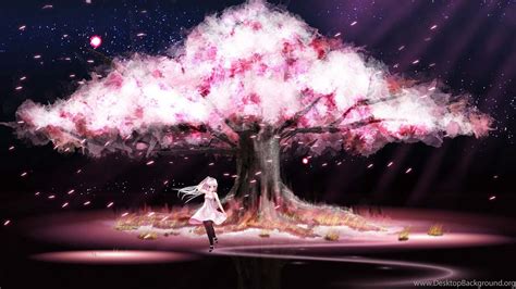 1500 Cherry Blossom Tree Anime Wallpapers