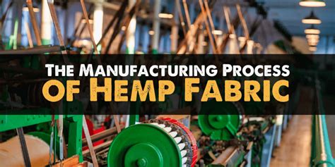 Hemp For Clothing Everything You Need To Know