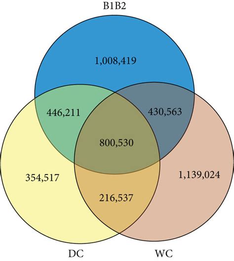 Venn Diagram Showing The Overlap Of Snps A And Indels B For Common