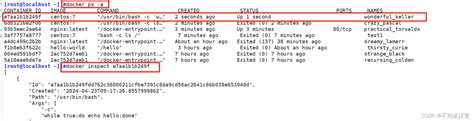 docker镜像与容器的命令与基本操作 docker images grep镜像 csdn博客