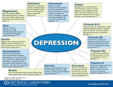 What Is Nutrient Density And Why It Matters Optimising Nutrition