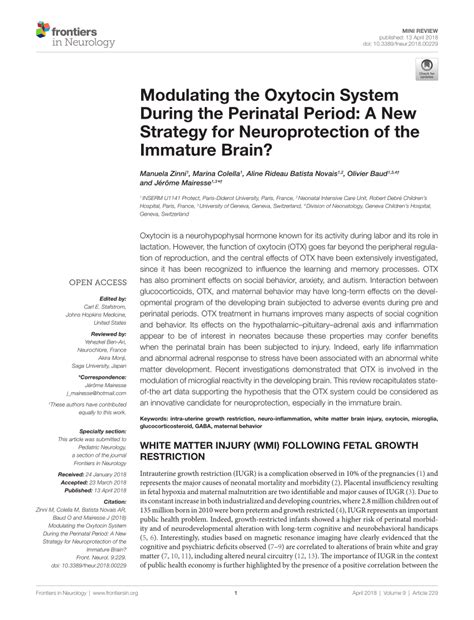 Pdf Modulating The Oxytocin System During The Perinatal Period A New Strategy For