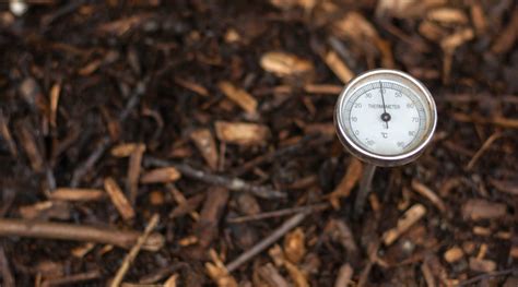 Should I Sterilize Compost Before Use