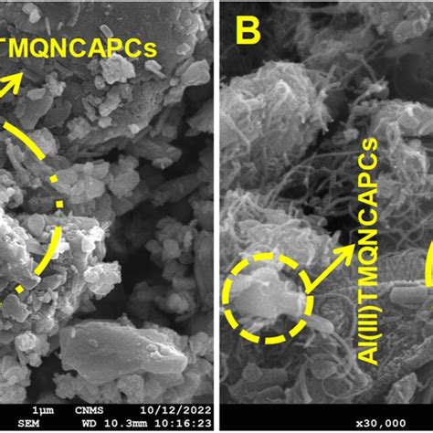 Fe Sem Analysis Of A Neat Aliiitmqncapc And B Download