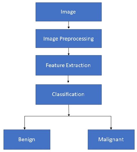 Figure 1 From Detection Of Breast Cancer From Histopathological Images Semantic Scholar