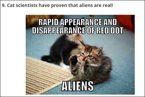 The Memes Topic Off Topic Codecombat Discourse