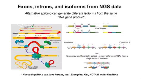 Rna Seq PPT