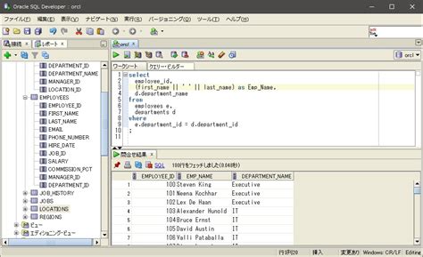 ただの記録 Oracle SQL Developer 廃x浄化