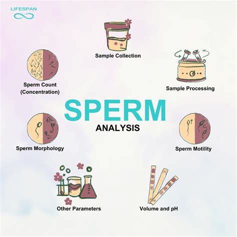 Sperm Analysis Services In Bangkok Thailand Lifespan Birth