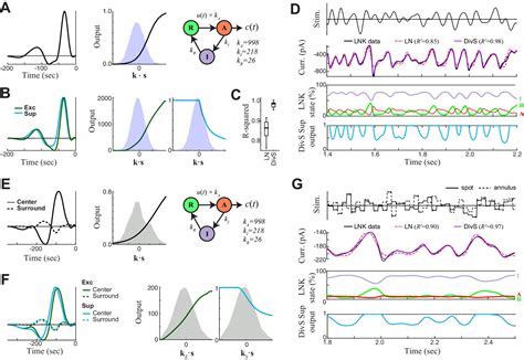 Figures And Data In Divisive Suppression Explains High Precision Firing