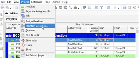 How To Create And Assign A Baseline In Primavera P6 Ten Six