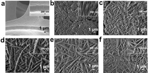 Figure 2 From Surface Modulation Of 3d Porous Conip Nanoarrays In Situ