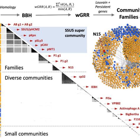 Sequence Similarity Network And Detected Communities The Communities Download Scientific