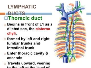 Lymphatic System Ppt