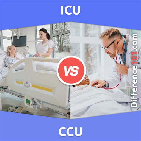 Icu Vs Ccu 5 Key Differences Description And Designated Difference 101