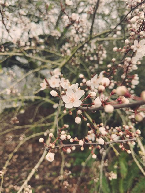 Testing V4 With Laguna Rnotafilmcamera