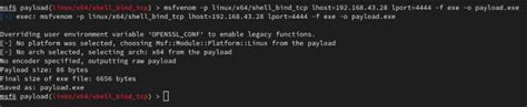 generating a metasploit payload naukri code 360