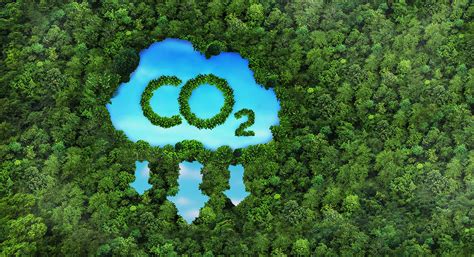 Decarbonization Master Business Solutions