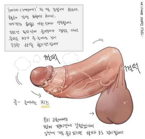 Rule 34 1boy Anatomically Correct Anatomy Big Penis Close Up Close Up