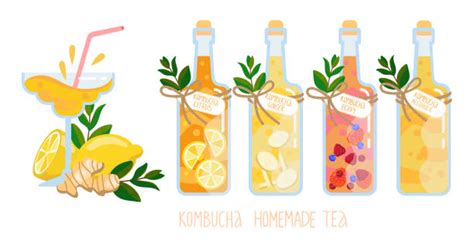 660개 이상의 Kombucha 스톡 일러스트 Royalty Free 벡터 그래픽 및 클립 아트 Istock