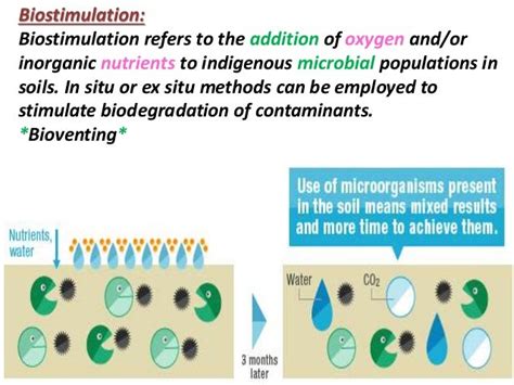 Biostimulation And Bioaugmentation