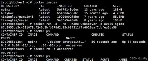 【docker】docker的简介与部署方法 doube itv部署 csdn博客