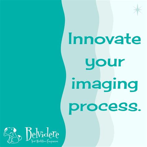 Say Goodbye To Disorganized Systems Belvidere Workflow Organizes Your