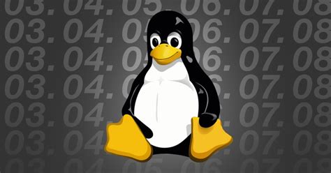 10 Best Linux Operating Systems For Hacking And Pentesting