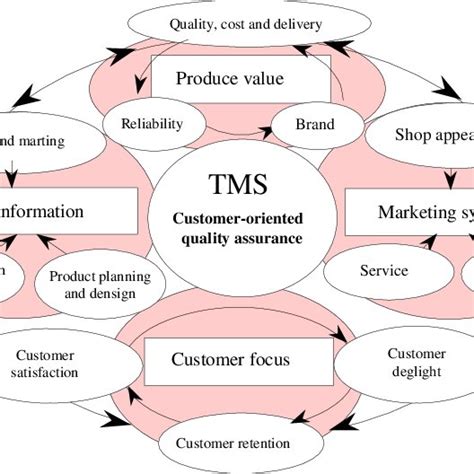 Conceptual Diagram Of TMS Download Scientific Diagram