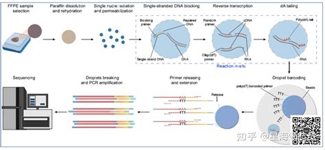国产单细胞平台追上10x Genomics确实需要努力，而10x Genomics追上国产单细胞平台也要努力 知乎