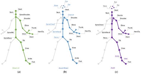 Sensors Free Full Text Evaluating Automatic Body Orientation