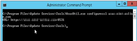 Configure Ssl Connection For Wsus Upstream And Downstream
