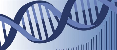 Computational Tool For Detecting Hidden Genetic Mutations Biotechniques