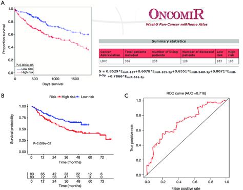Further Verification Of The Prognostic Mirna Signature In Hcc A Download Scientific Diagram