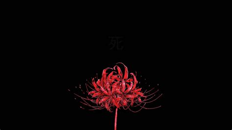 1627 Red And Black Pfp Profile Pictures Images And Photos