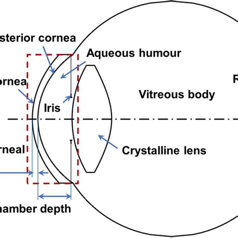 Chromatic Aberration Analysis Mean ± Sd At Retina Before And After Download Scientific