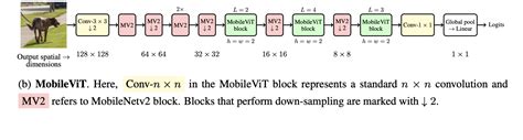 Mobilevit V2 Hugging Face Community Computer Vision Course